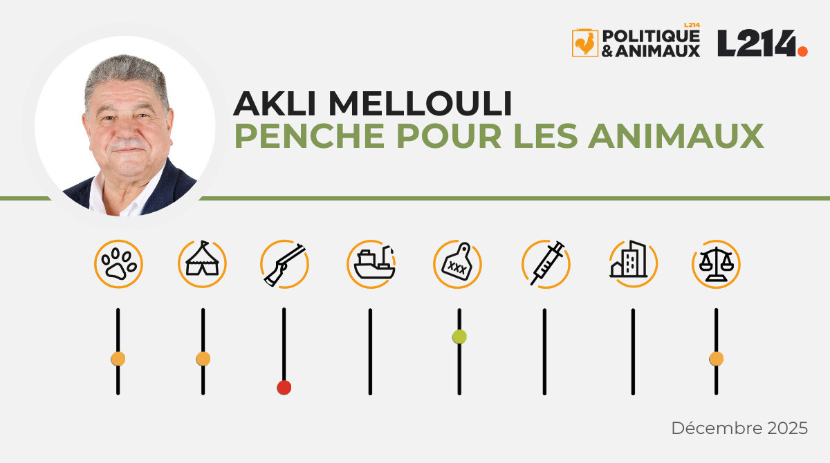 Akli Mellouli - Politique & Animaux