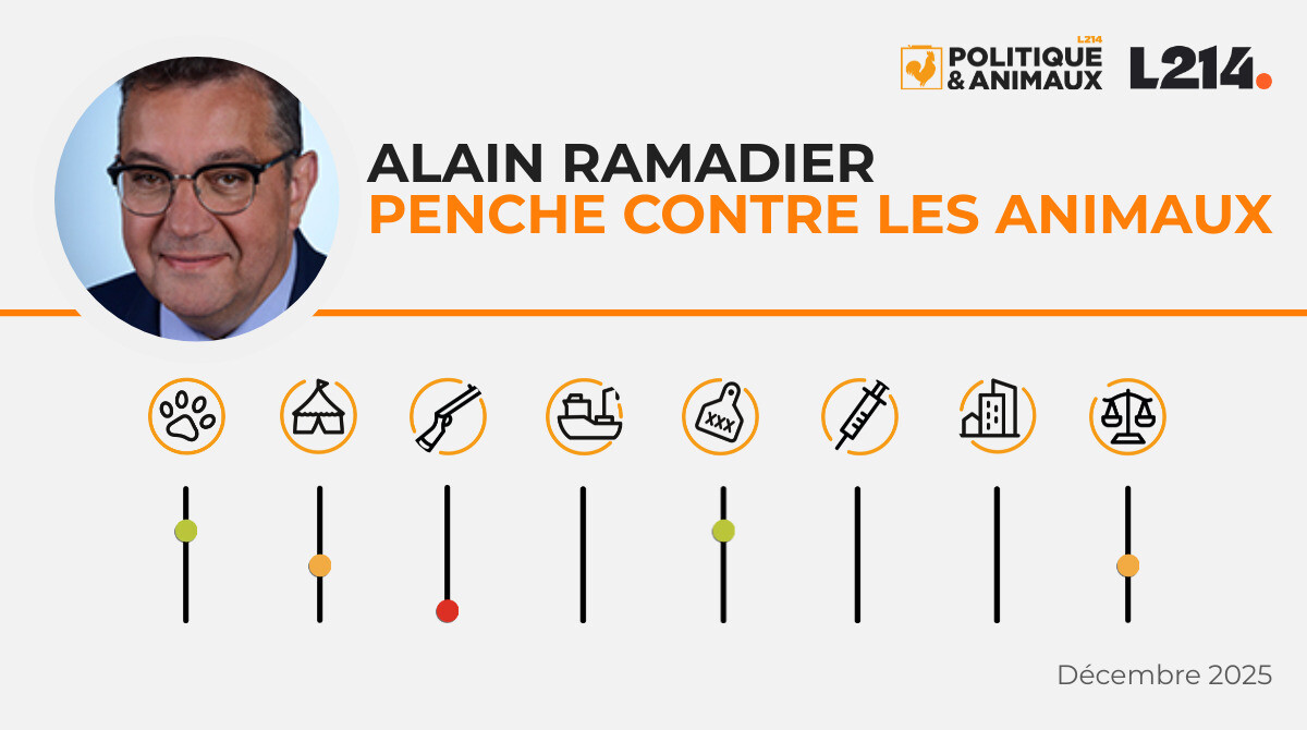 Alain Ramadier - Politique & Animaux