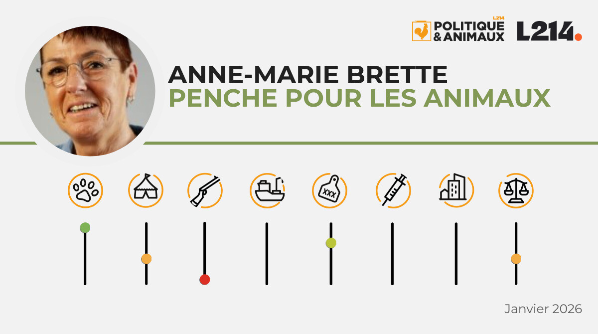 Anne-Marie Brette - Politique & Animaux