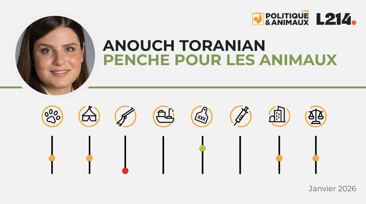 Anouch Toranian - Politique & Animaux
