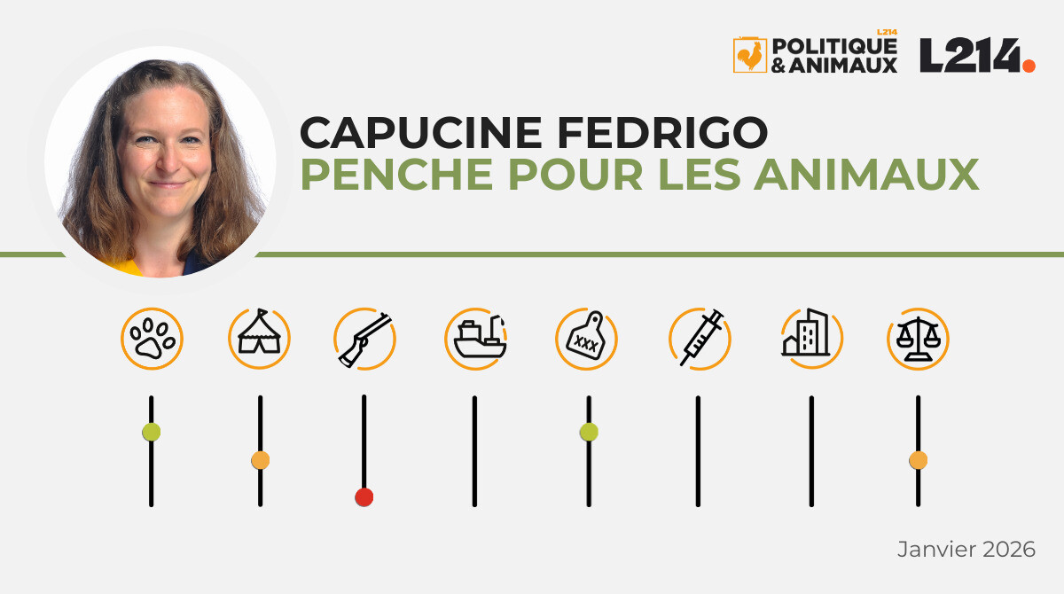Capucine Fedrigo - Politique & Animaux