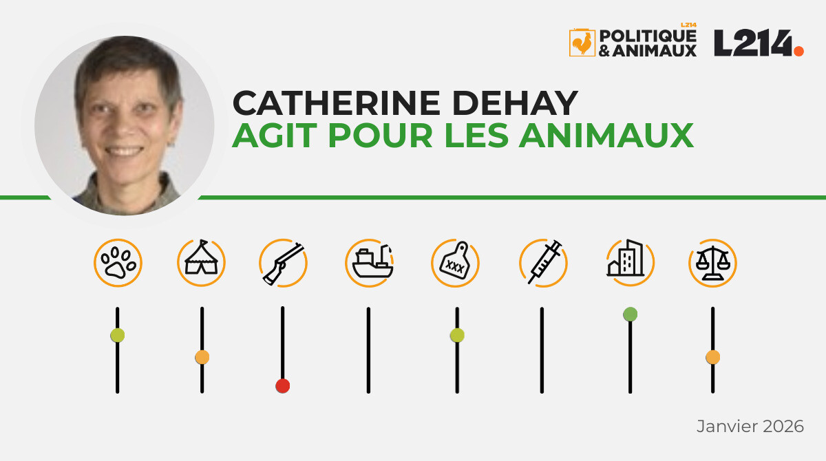 Catherine Dehay - Politique & Animaux