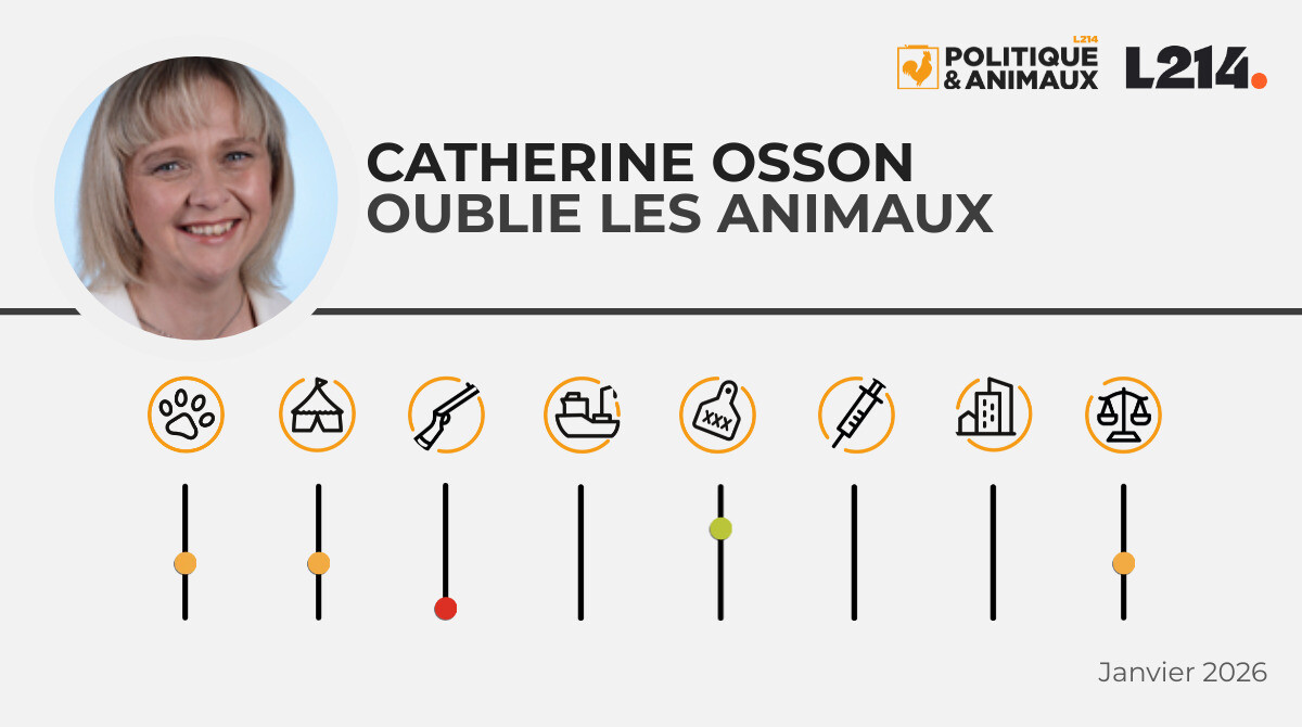 Catherine Osson - Politique & Animaux