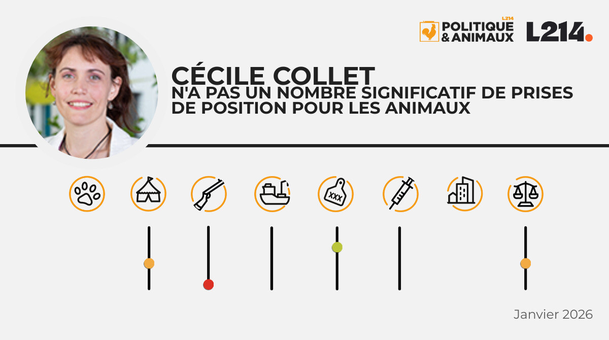 Cécile Collet - Politique & Animaux