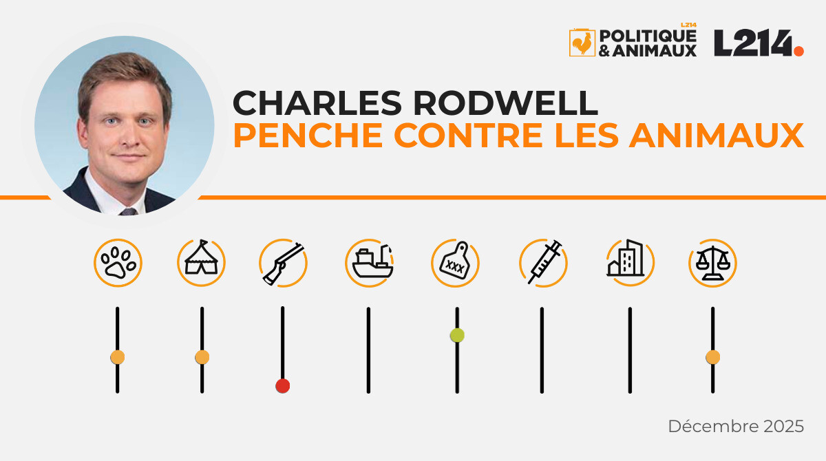 Charles Rodwell - Politique & Animaux