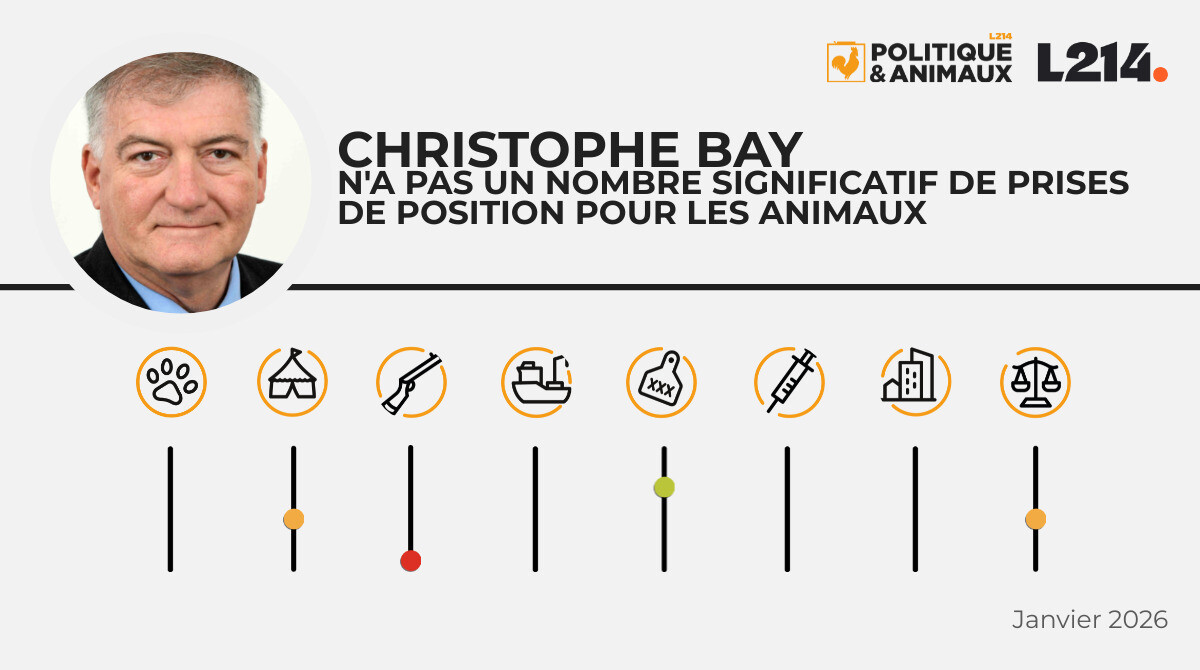 Christophe Bay - Politique & Animaux