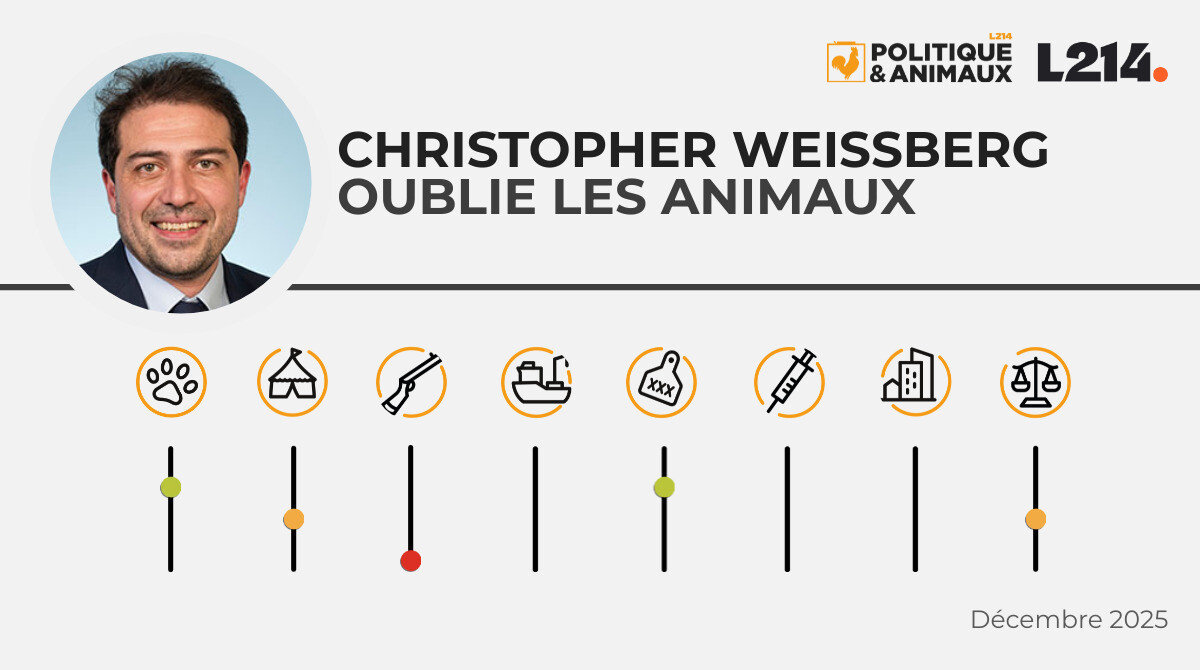 Christopher Weissberg - Politique & Animaux