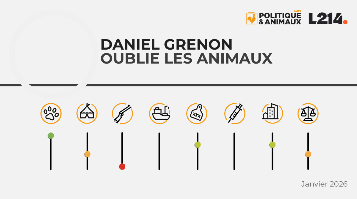Daniel Grenon - Politique & Animaux