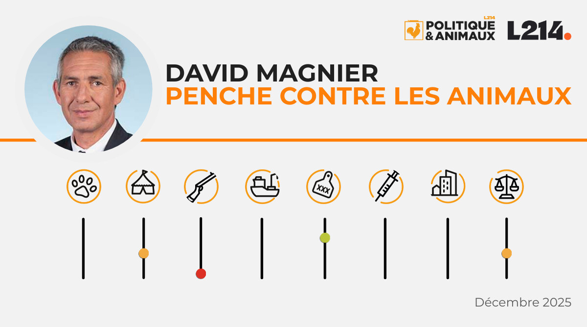 David Magnier - Politique & Animaux