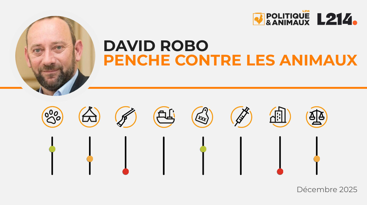 David Robo - Politique & Animaux