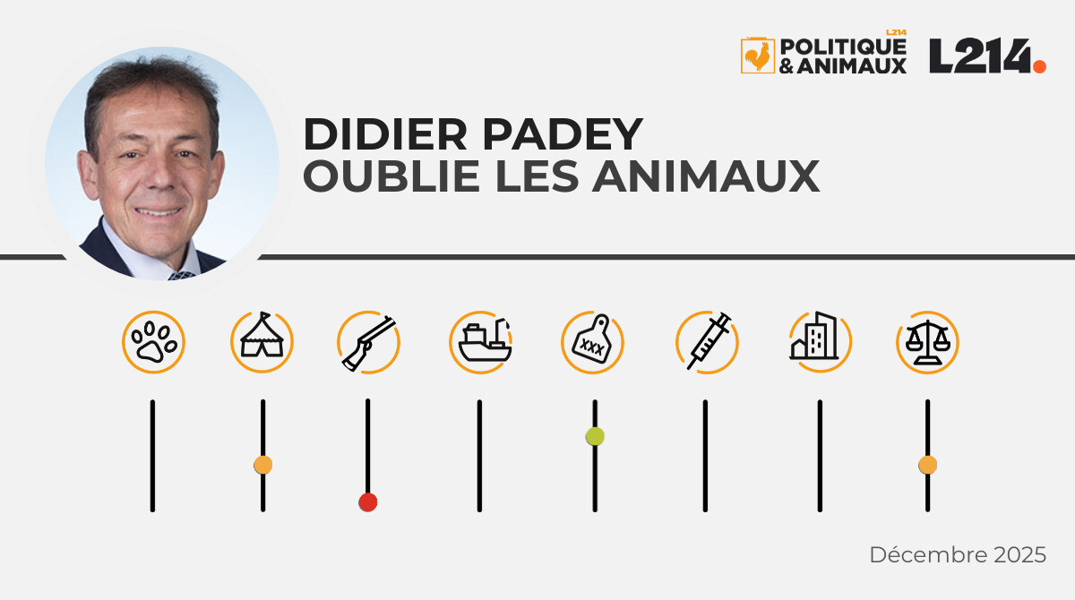 Didier Padey - Politique & Animaux