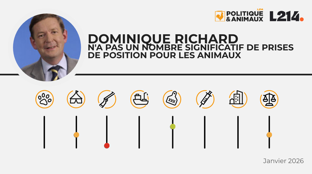 Dominique Richard - Politique & Animaux