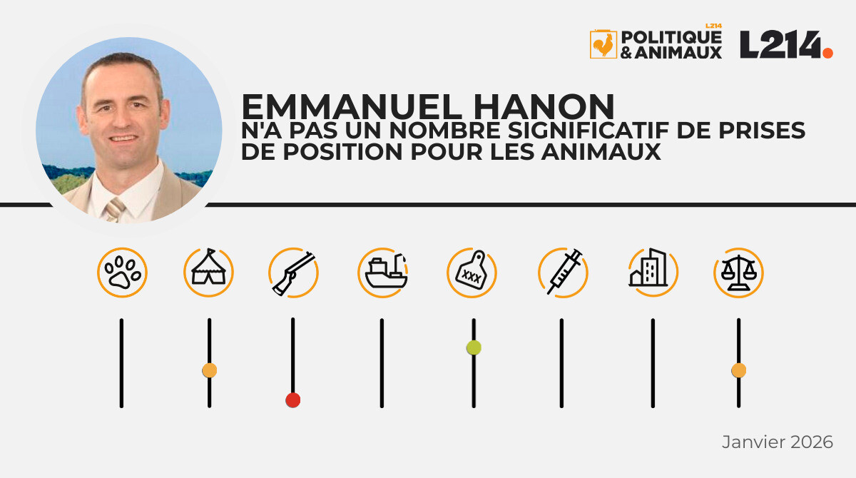 Emmanuel Hanon - Politique & Animaux