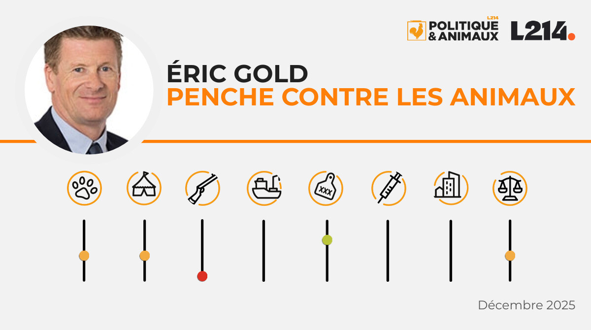 Éric Gold - Politique & Animaux