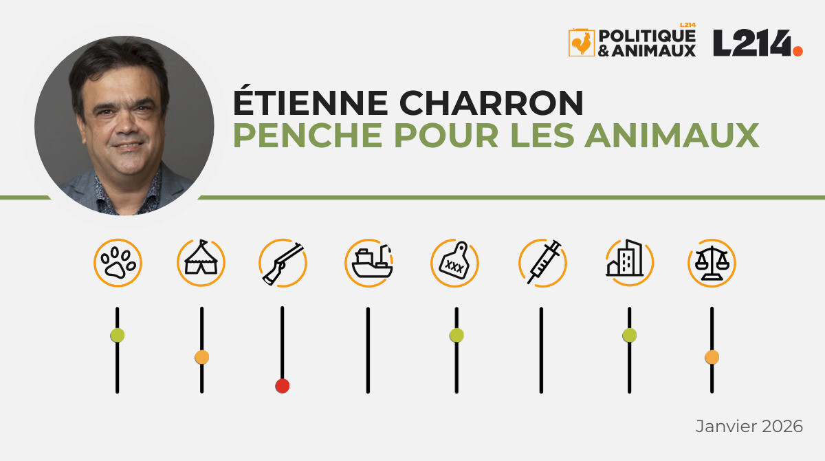 Étienne Charron - Politique & Animaux