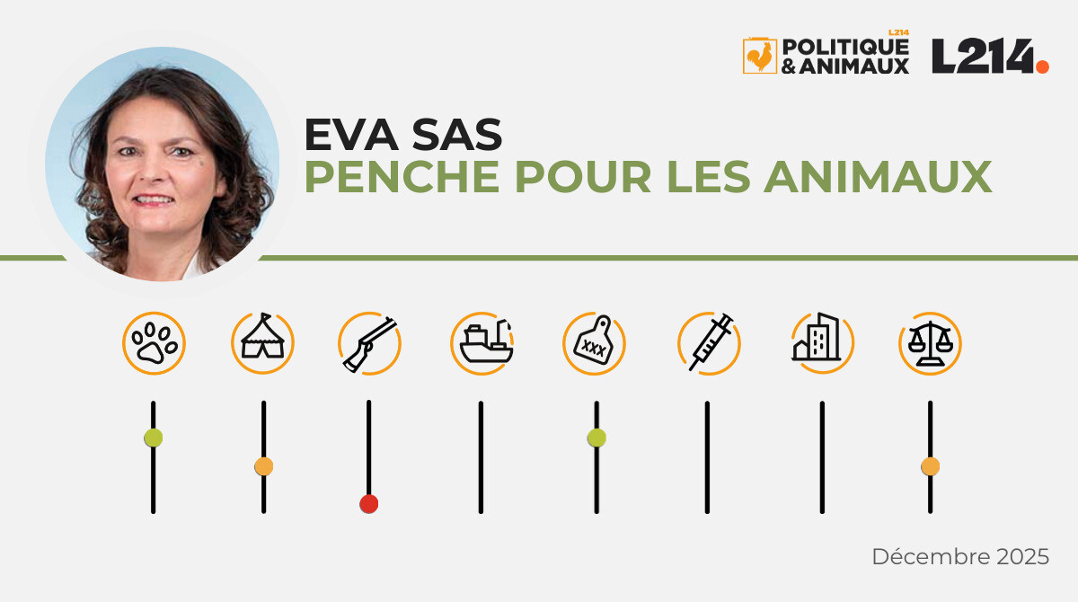 Eva Sas - Politique & Animaux