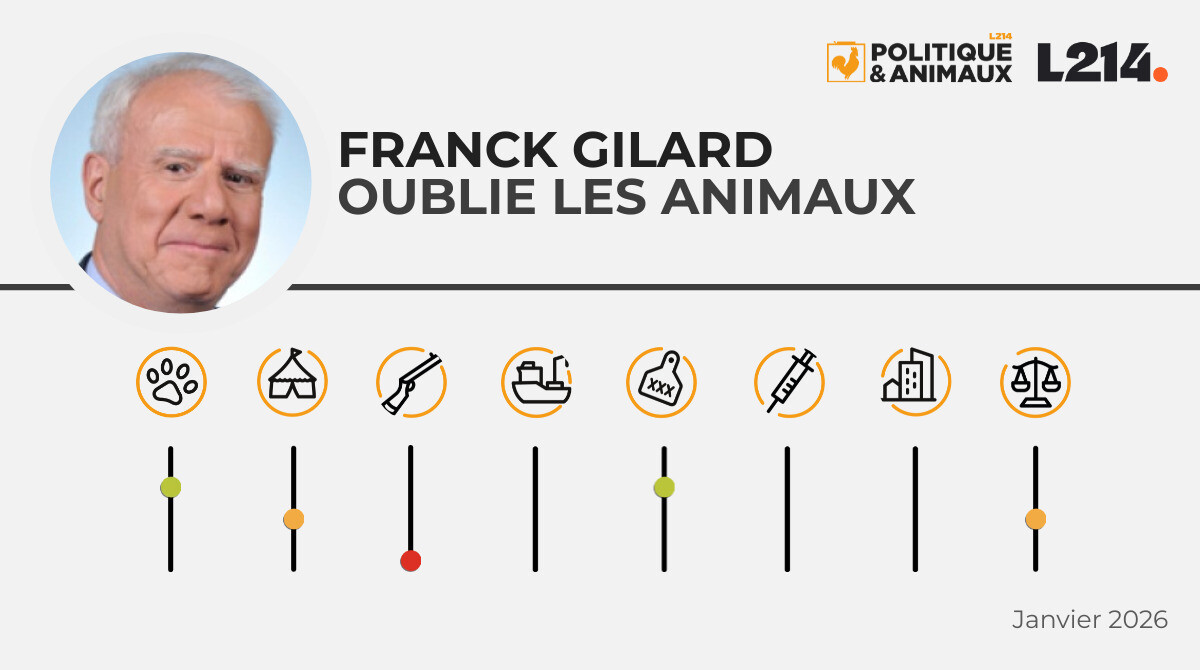 Franck Gilard - Politique & Animaux