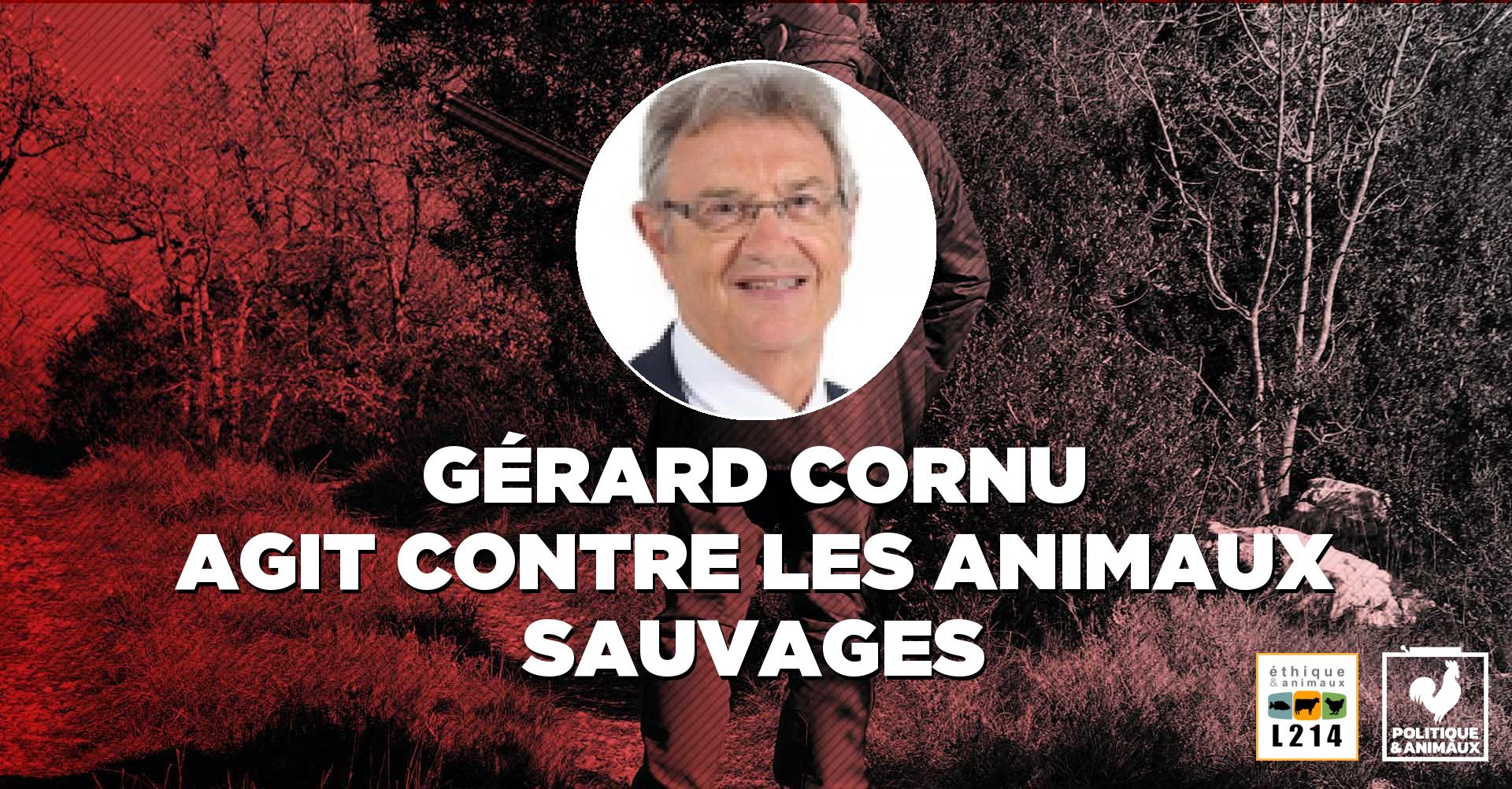Chasse : Gérard Cornu - Politique & animaux
