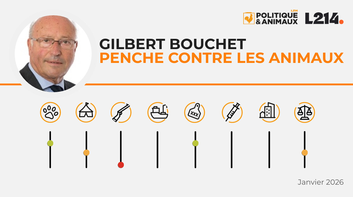 Gilbert Bouchet - Politique & Animaux
