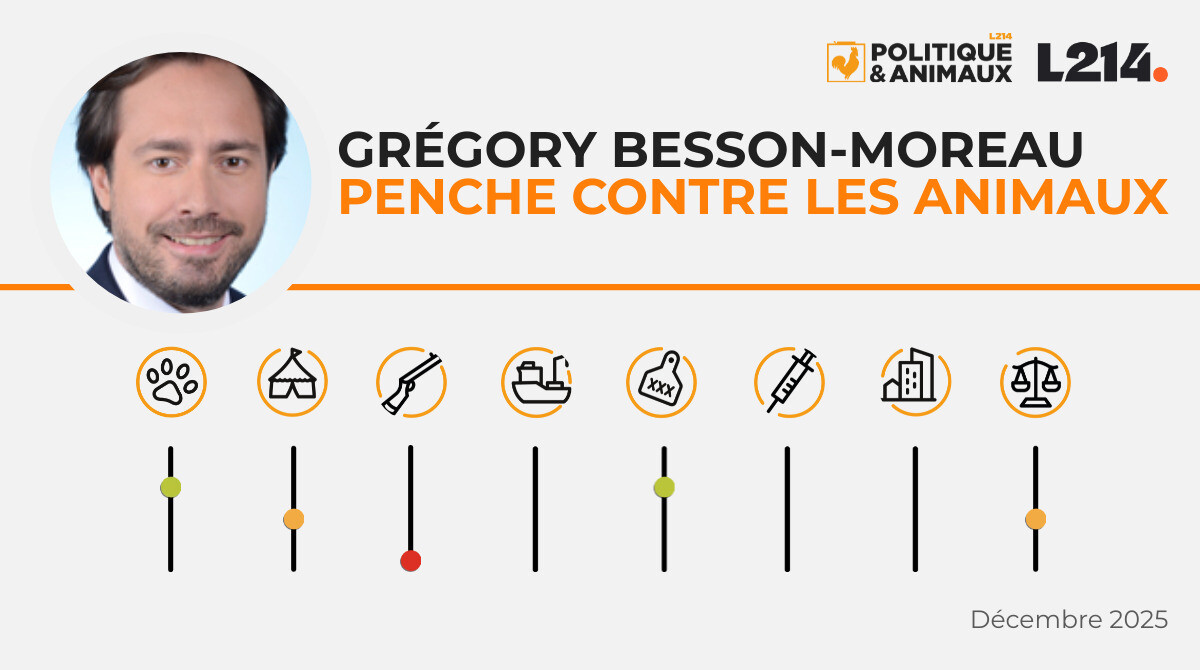Grégory Besson-Moreau - Politique & Animaux