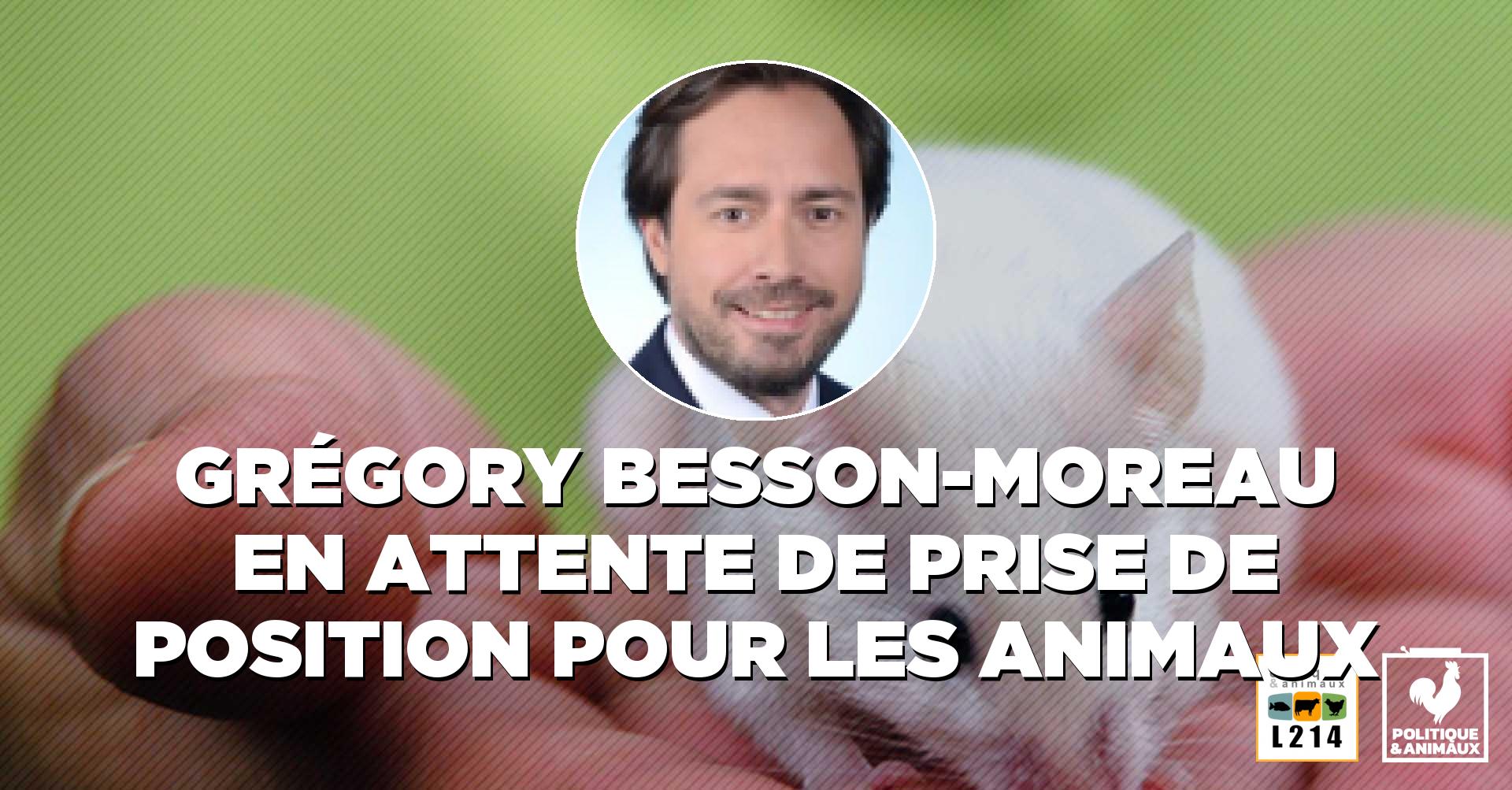 Expérimentation : Grégory Besson-Moreau - Politique & animaux