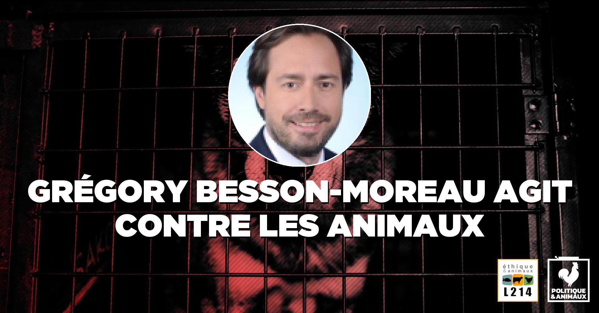 Grégory Besson-Moreau - Politique & animaux