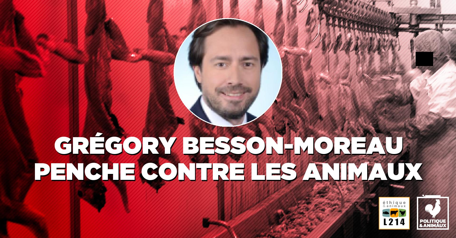 Droit animal : Grégory Besson-Moreau - Politique & animaux