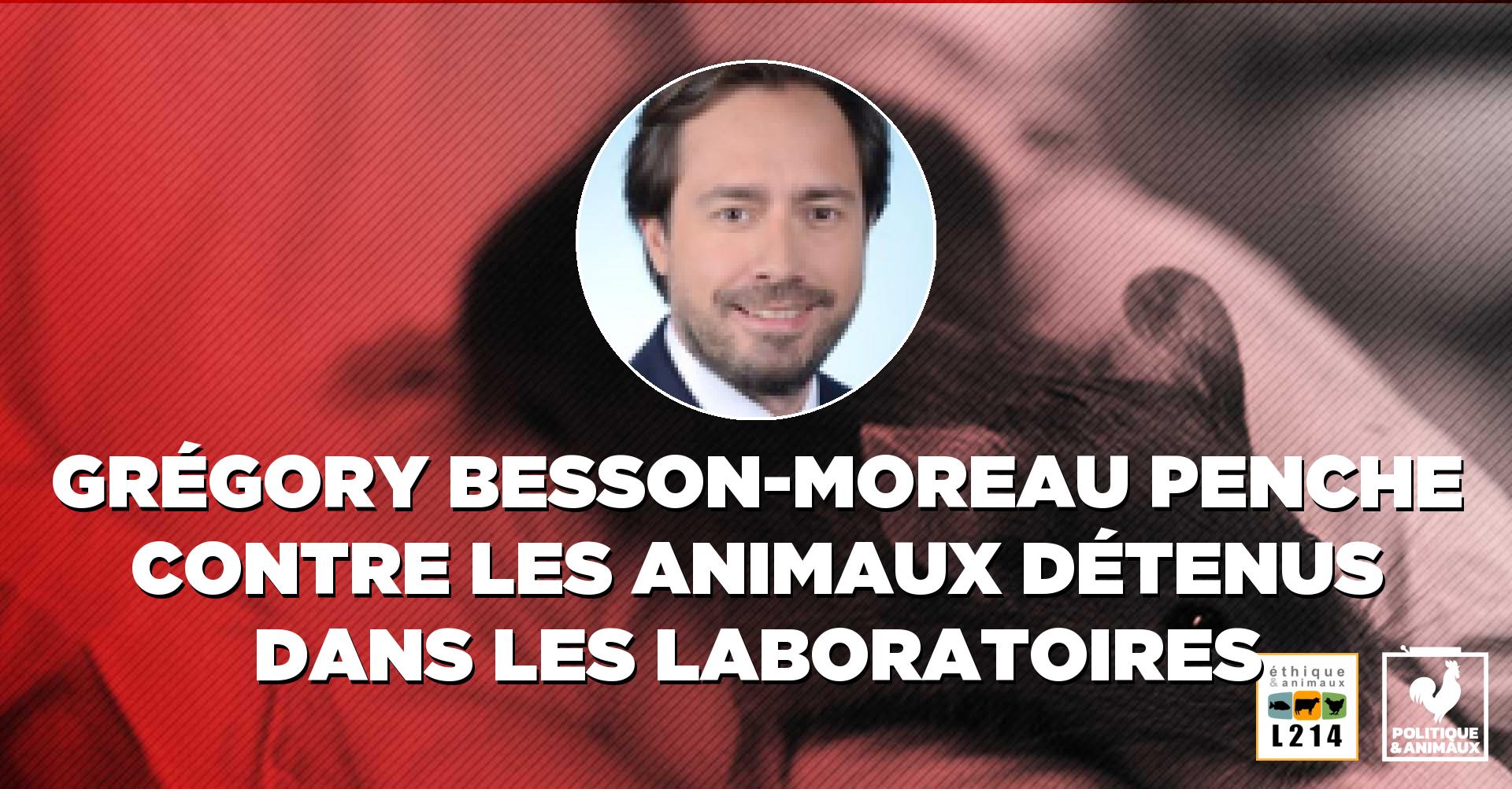 Expérimentation : Grégory Besson-Moreau - Politique & animaux
