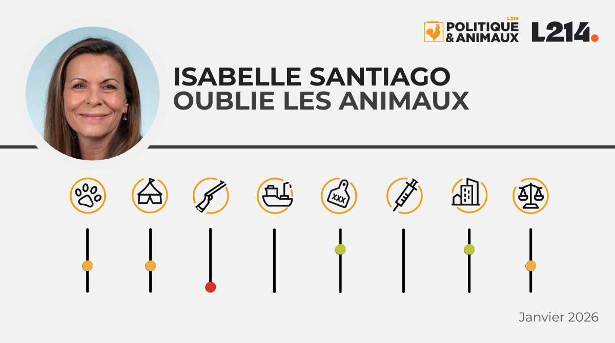 Isabelle Santiago - Politique & Animaux