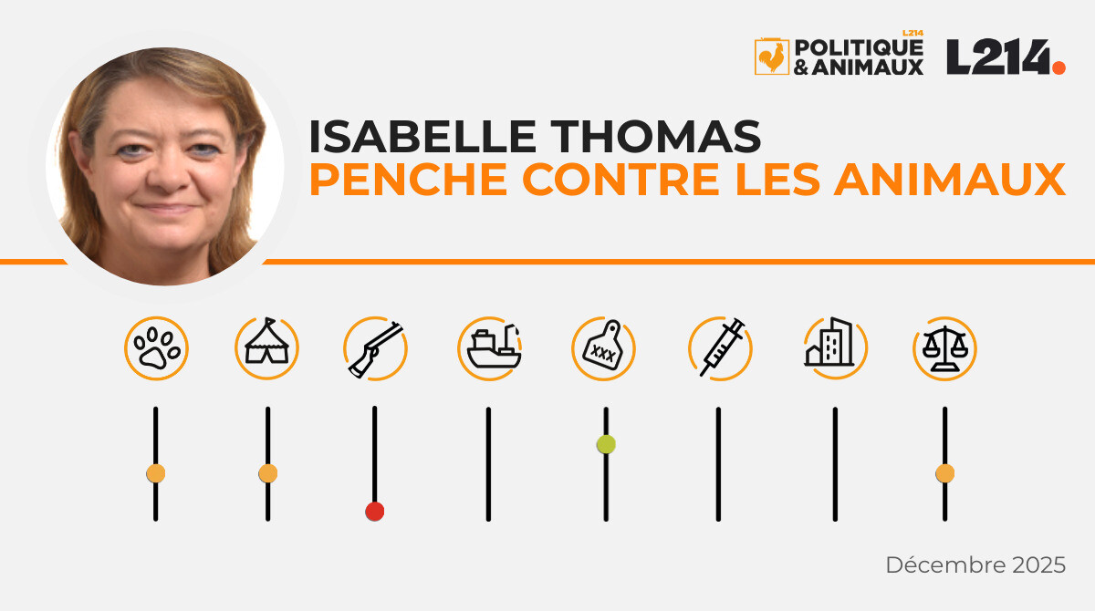 Isabelle Thomas - Politique & Animaux