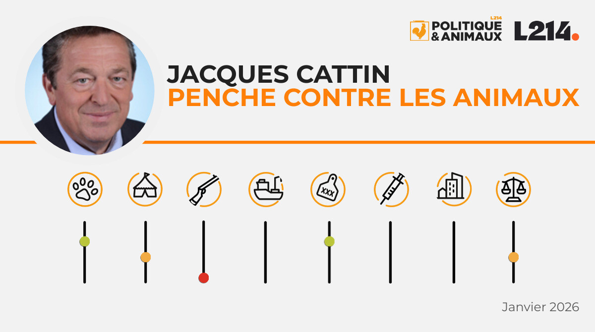 Jacques Cattin - Politique & Animaux