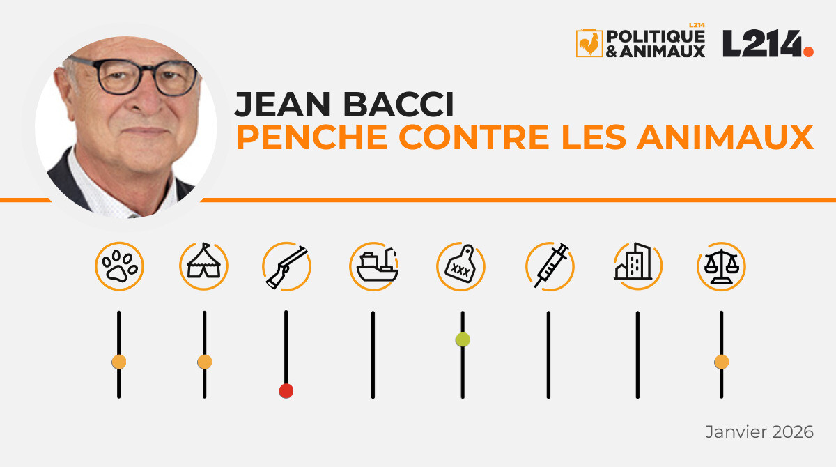 Jean Bacci - Politique & Animaux