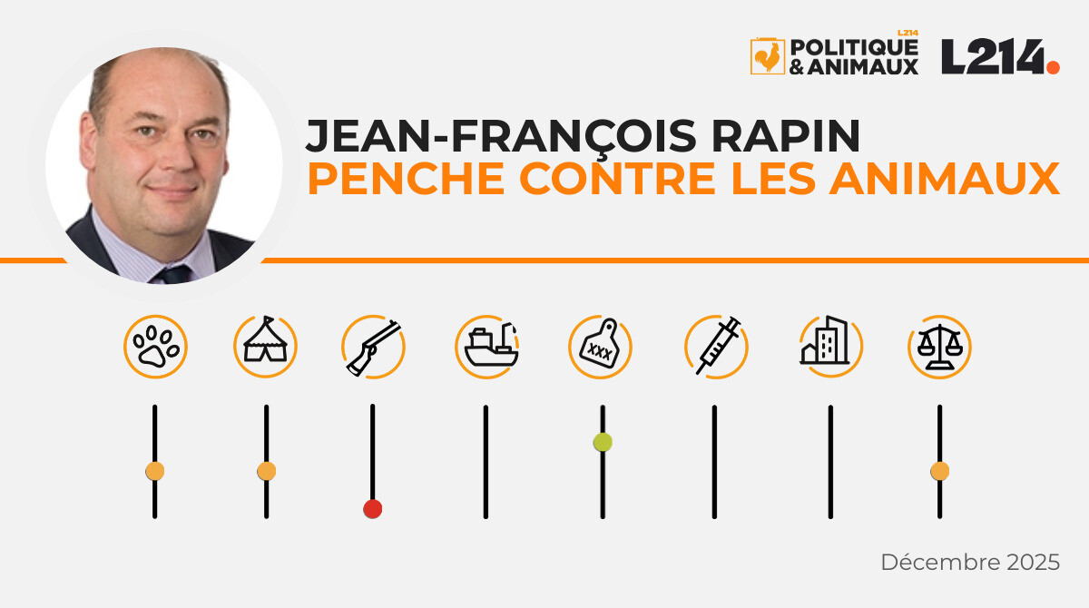 Jean-François Rapin - Politique & Animaux