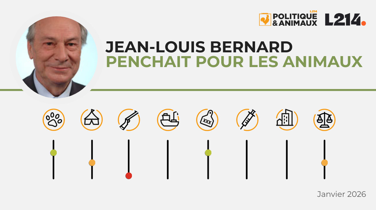 Jean-Louis Bernard - Politique & Animaux