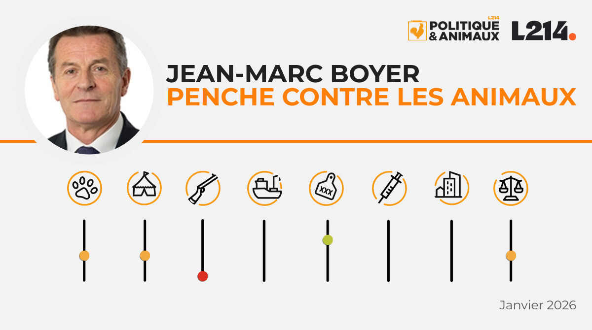 Jean-Marc Boyer - Politique & Animaux