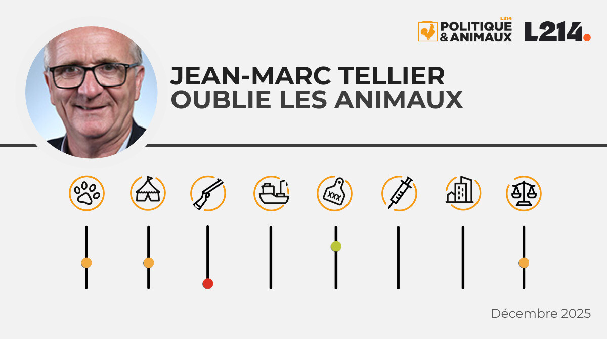 Jean-Marc Tellier - Politique & Animaux