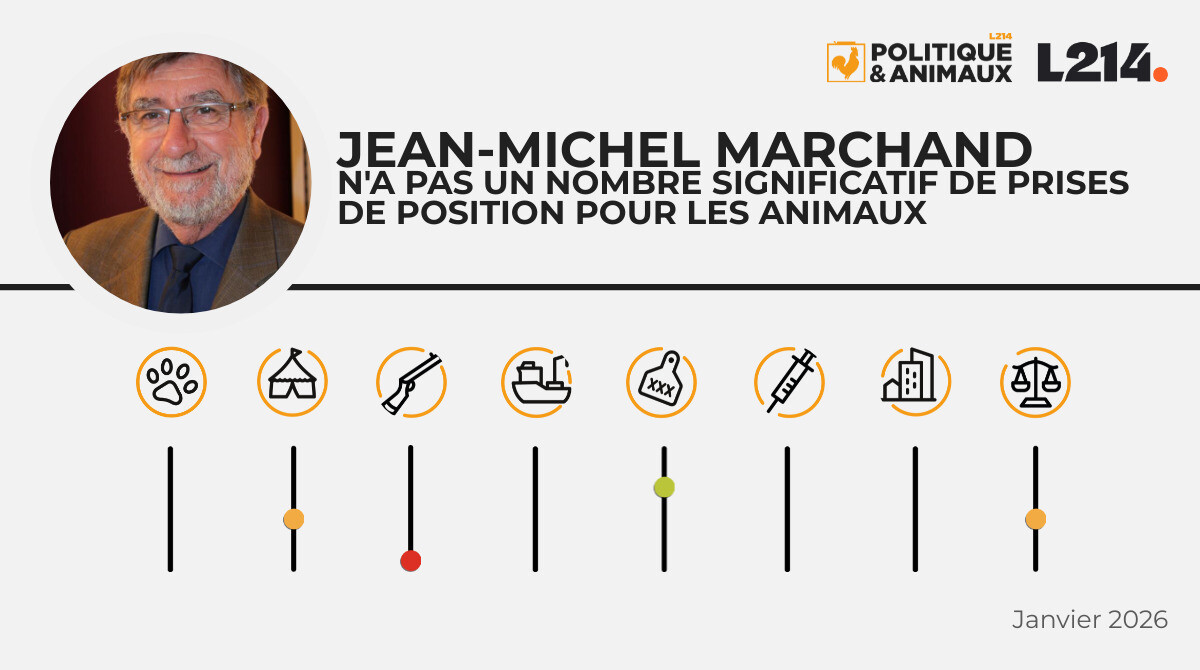Jean-Michel Marchand - Politique & Animaux