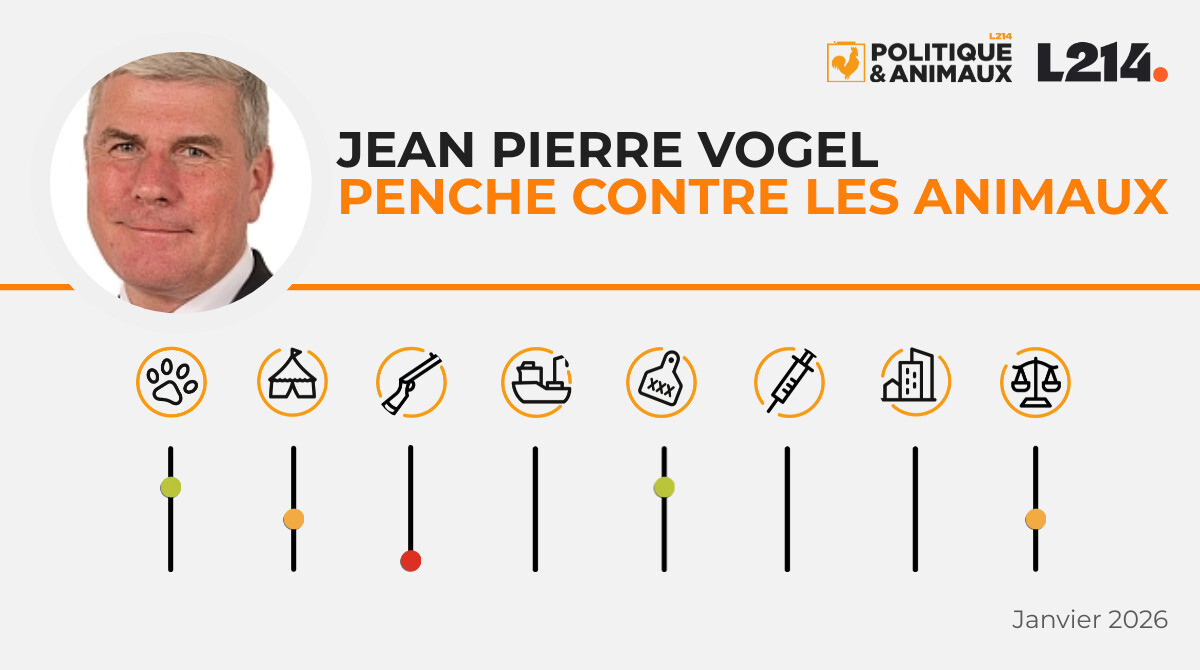 Jean Pierre Vogel - Politique & Animaux