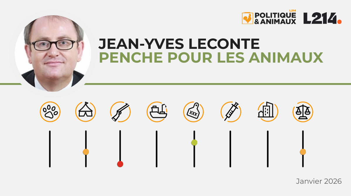 Jean-Yves Leconte - Politique & Animaux