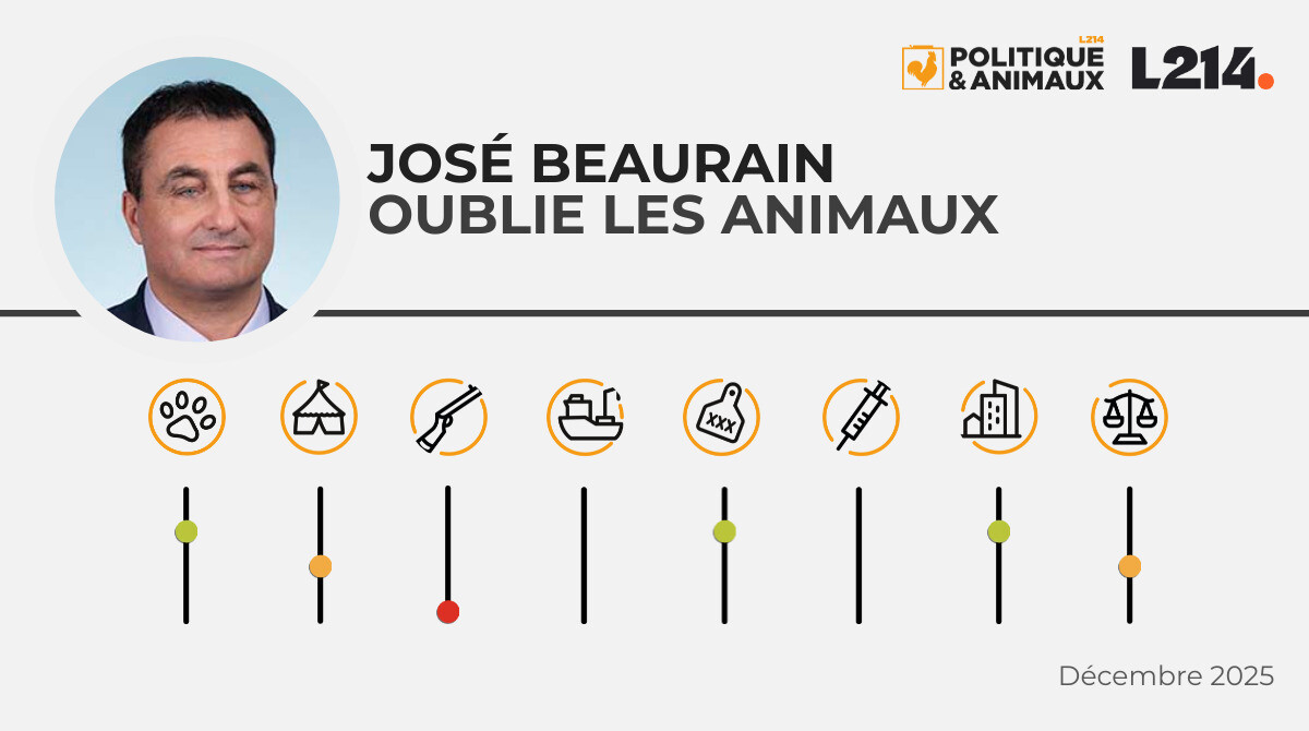 José Beaurain - Politique & Animaux