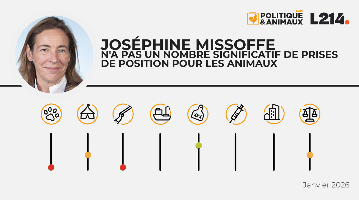 Joséphine Missoffe - Politique & Animaux