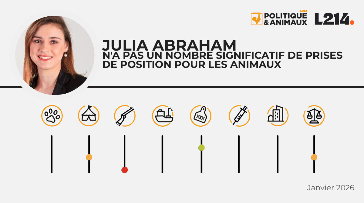Julia Abraham - Politique & Animaux