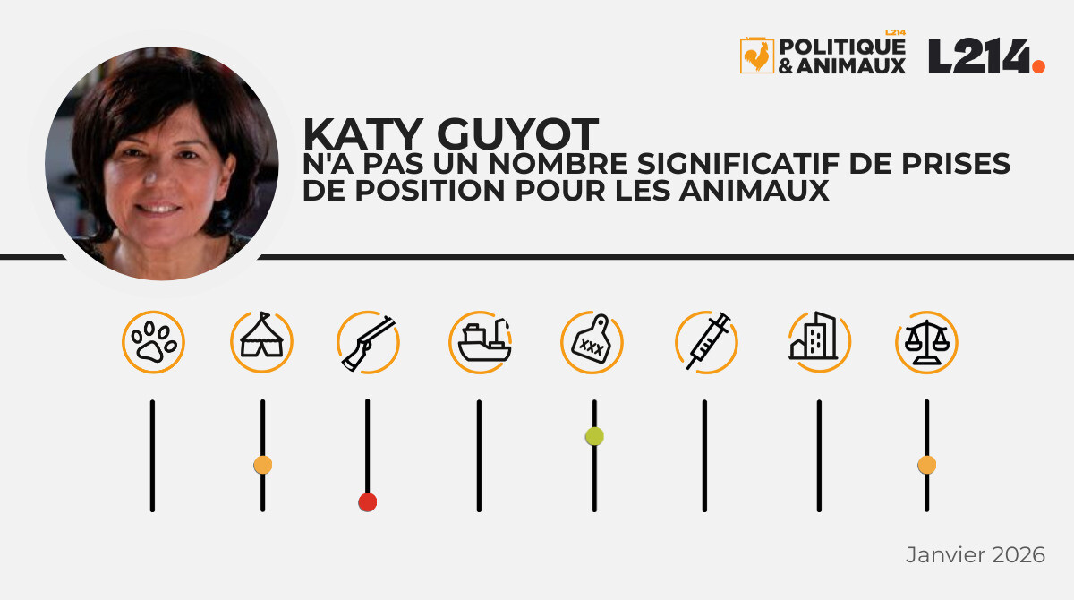 Katy Guyot - Politique & Animaux
