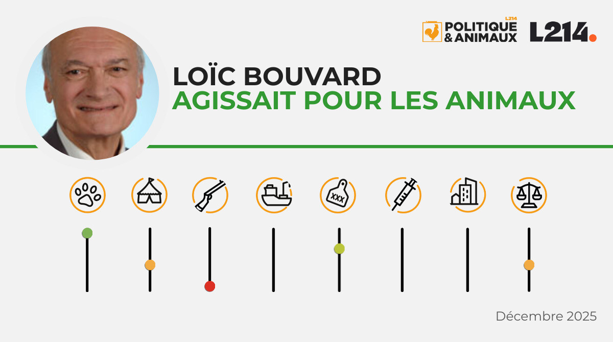 Loïc Bouvard - Politique & Animaux