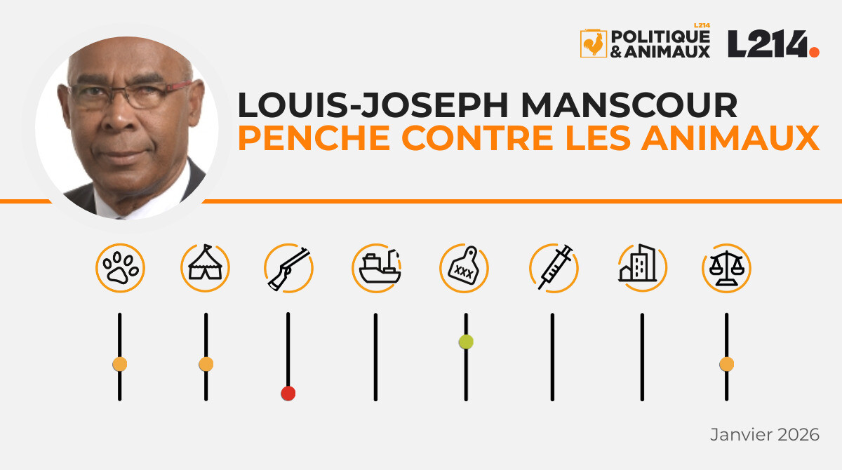 Louis-Joseph Manscour - Politique & Animaux