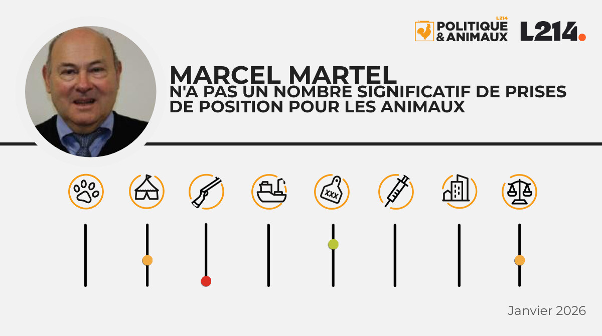 Marcel Martel - Politique & Animaux