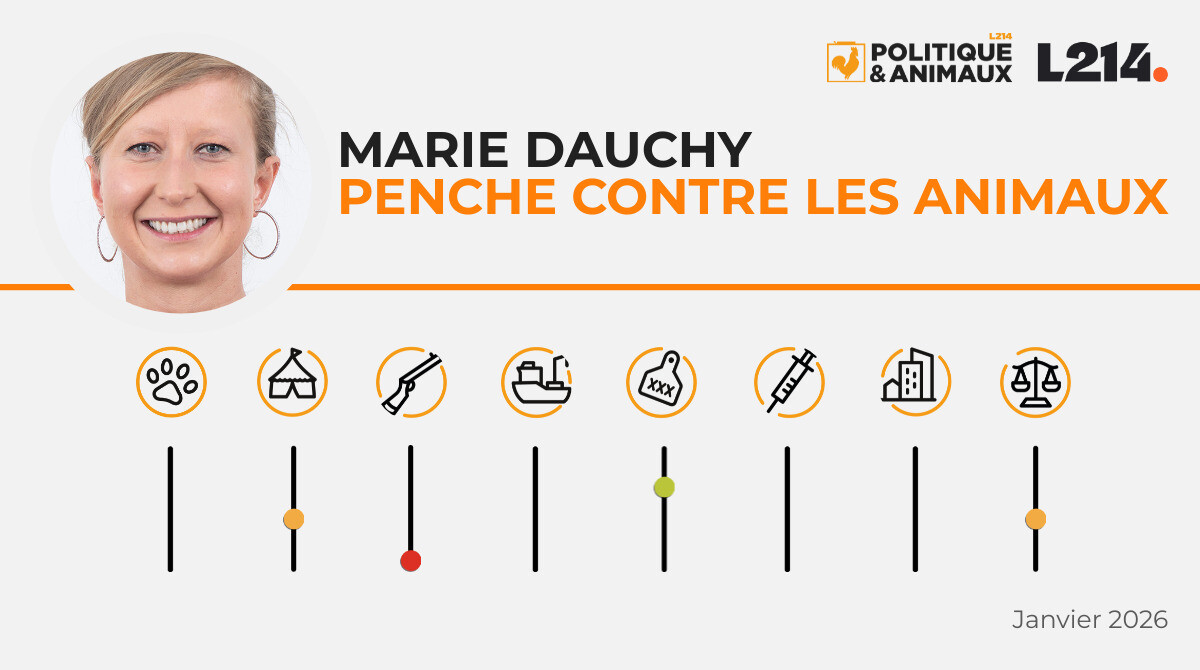 Marie Dauchy - Politique & Animaux