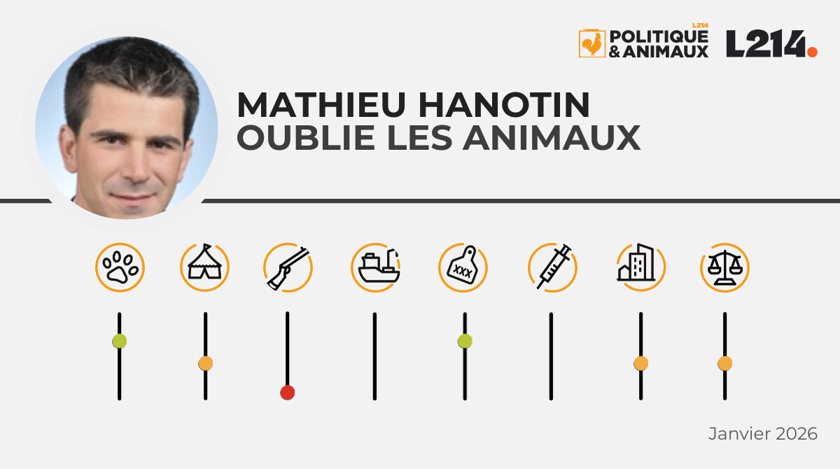 Mathieu Hanotin - Politique & Animaux