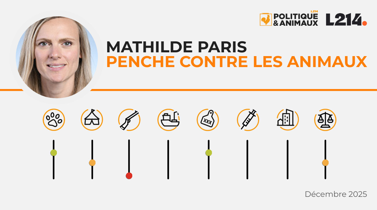 Mathilde Paris - Politique & Animaux