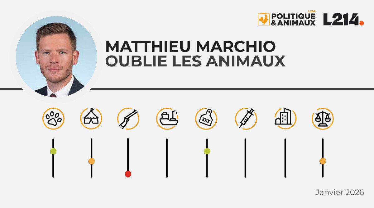 Matthieu Marchio - Politique & Animaux